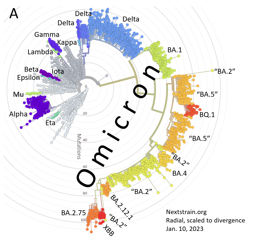 “Common Names” for Notable SARS-CoV-2 Variants: Proposal for a ...
